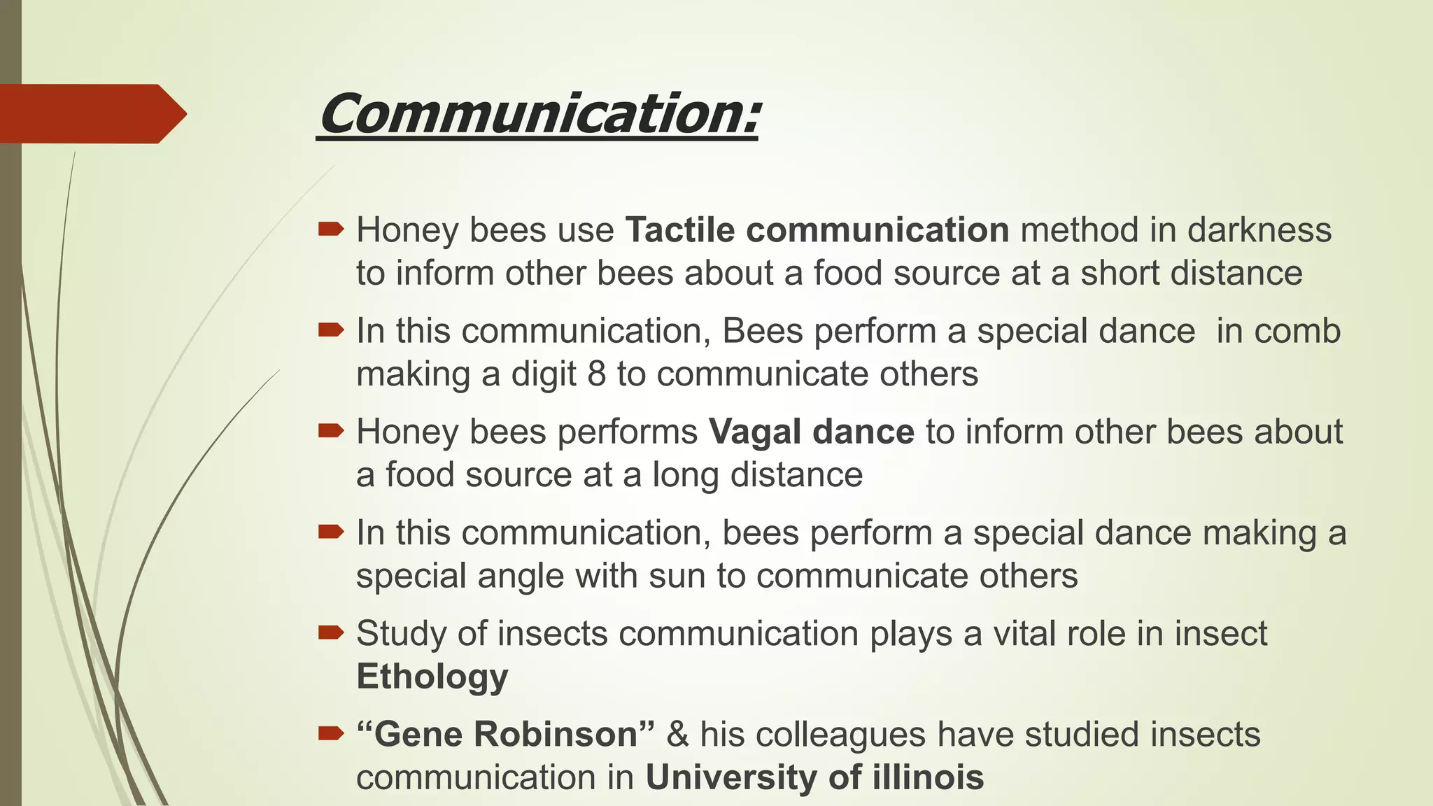 Foraging behavior in honey bees | PPTX