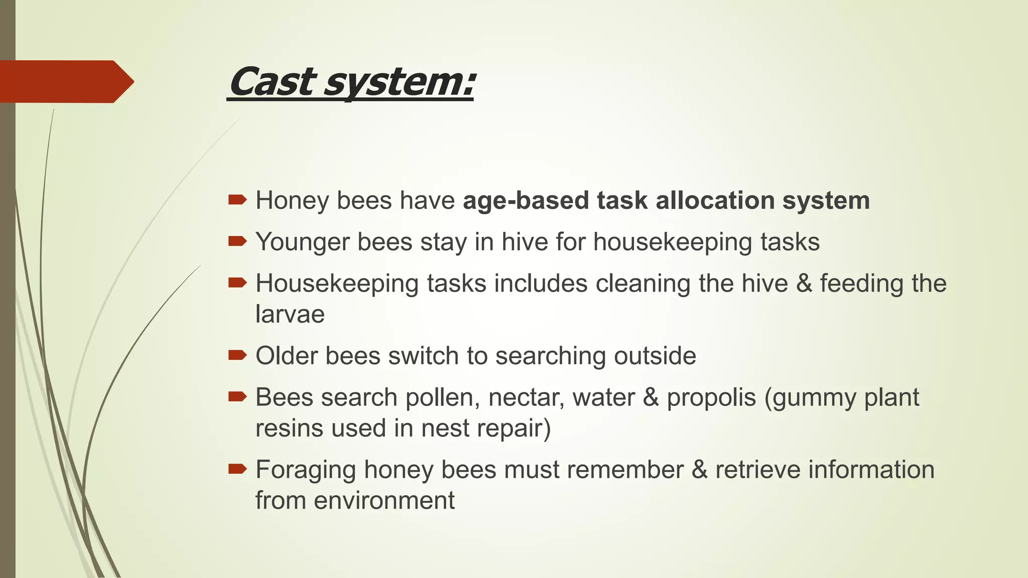 Foraging behavior in honey bees | PPTX