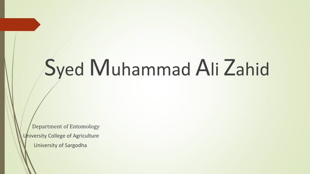 Foraging behavior in honey bees | PPTX