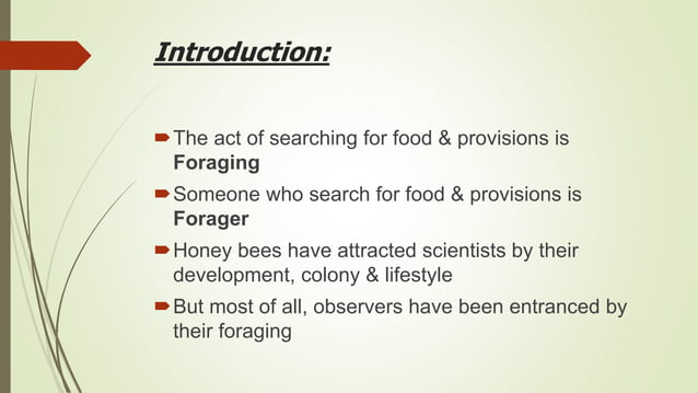Foraging behavior in honey bees | PPTX