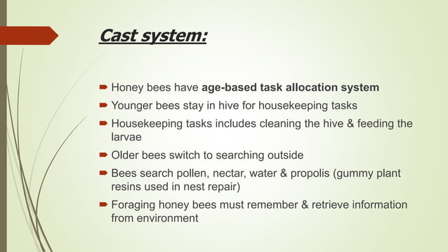 Foraging behavior in honey bees | PPTX