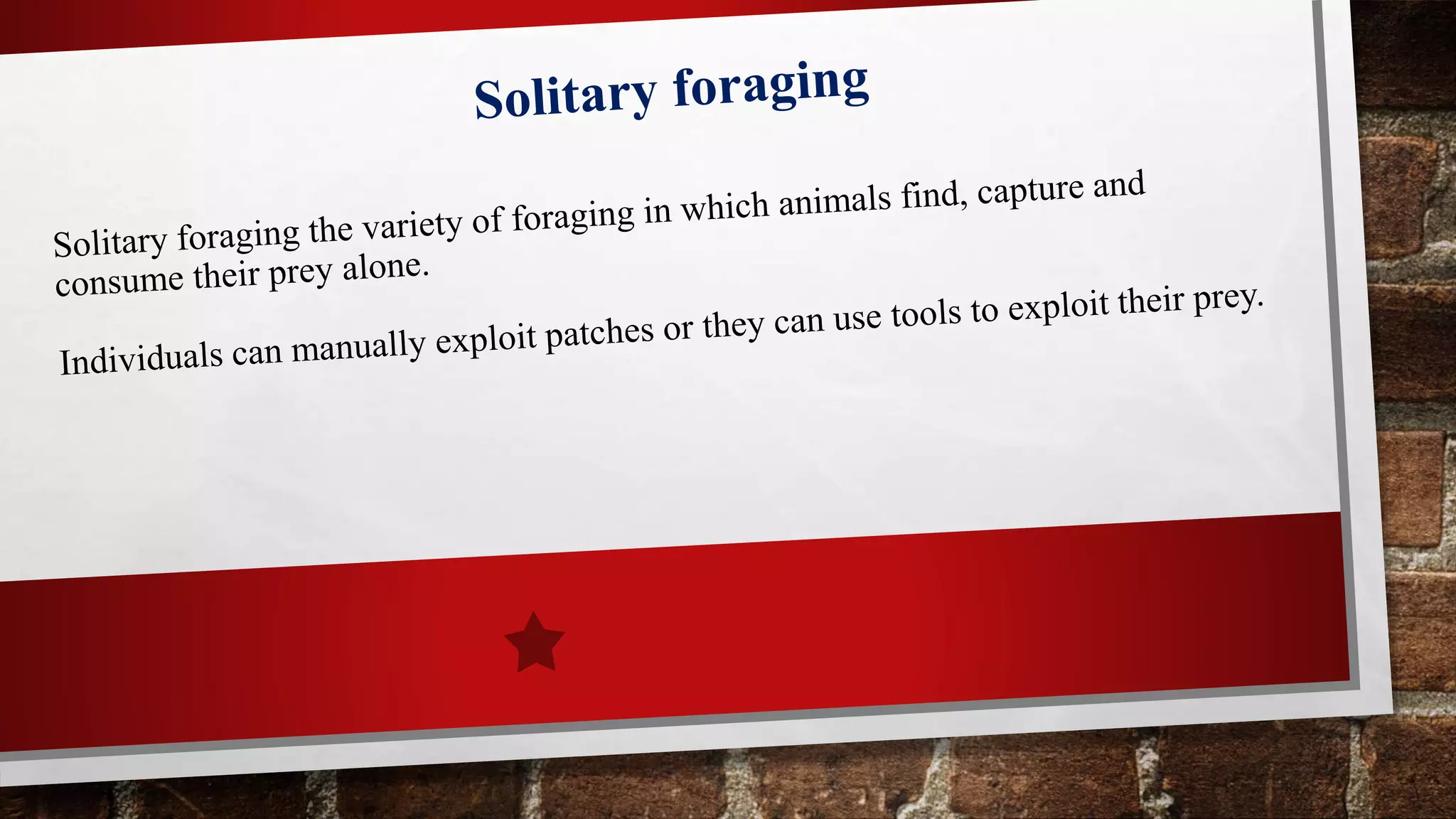 Foraging behavior in mammals | PPTX