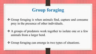 Foraging behavior in mammals | PPTX