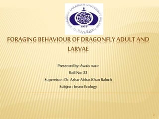 Foraging behavior of dragonfly adult and larvae | PPTX