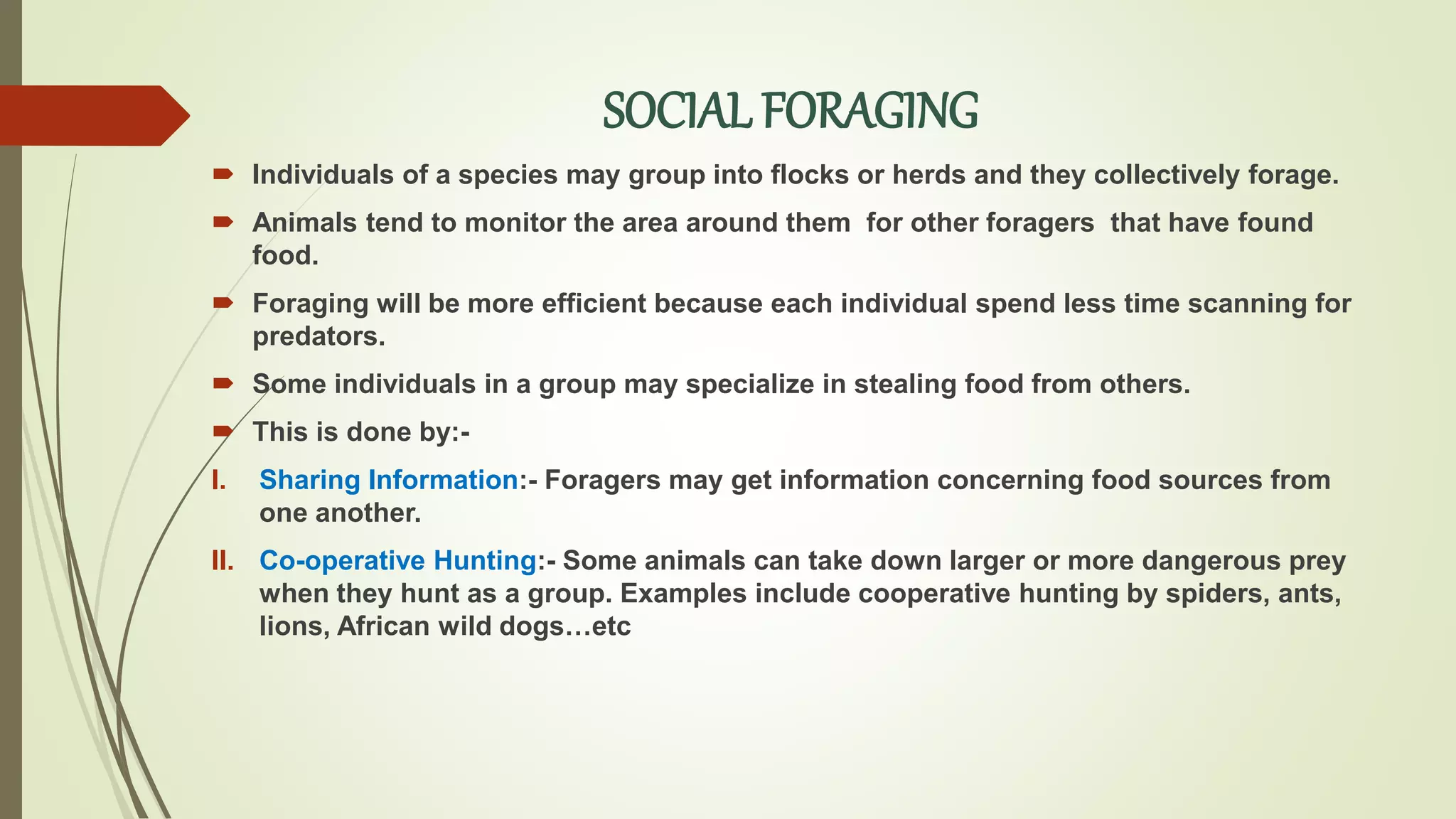 Foraging behaviour | PPTX