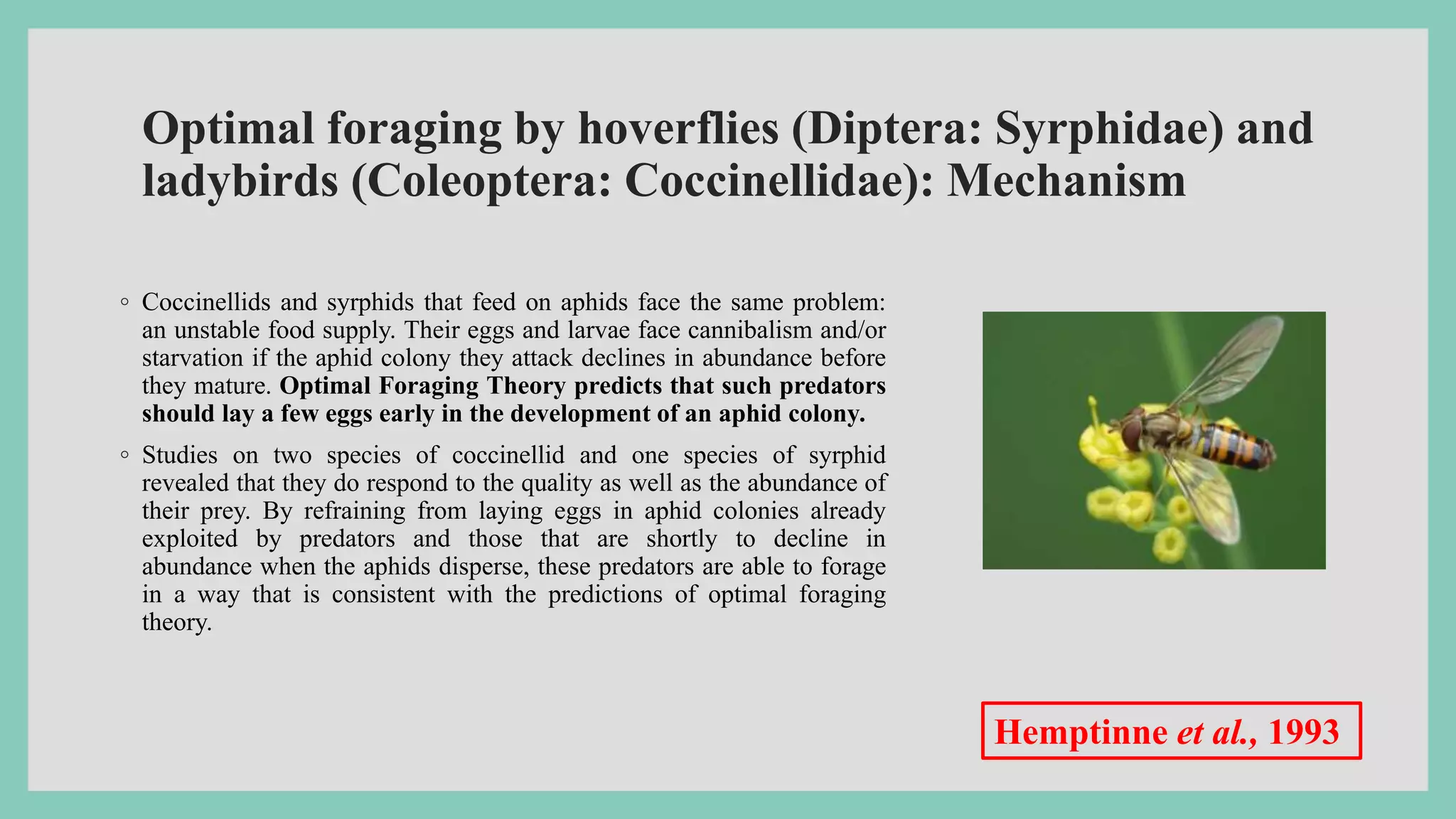 Foraging ecology- Optimal Foraging Theory.pptx