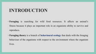 Foraging ecology- Optimal Foraging Theory.pptx