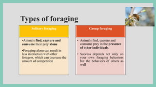 Foraging ecology- Optimal Foraging Theory.pptx