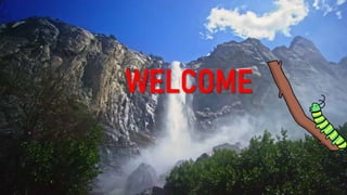 OPTIMAL FORAGING THEORY, MARGINAL VALUE THEORUM AND PATCH DEPATRTURE ...