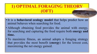 OPTIMAL FORAGING THEORY, MARGINAL VALUE THEORUM AND PATCH DEPATRTURE ...