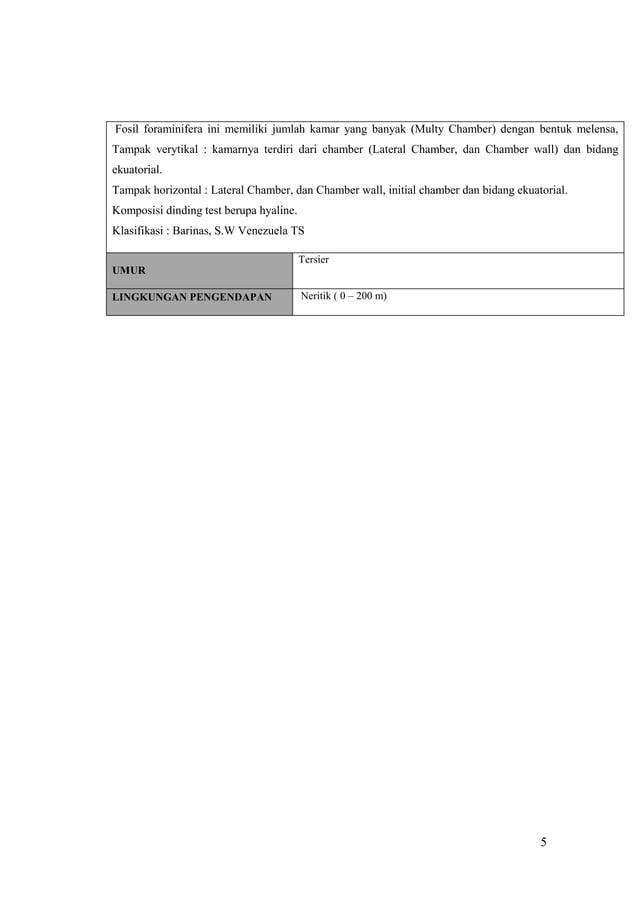 Foram besar ali | DOCX