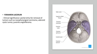 FORAMEN.pptx