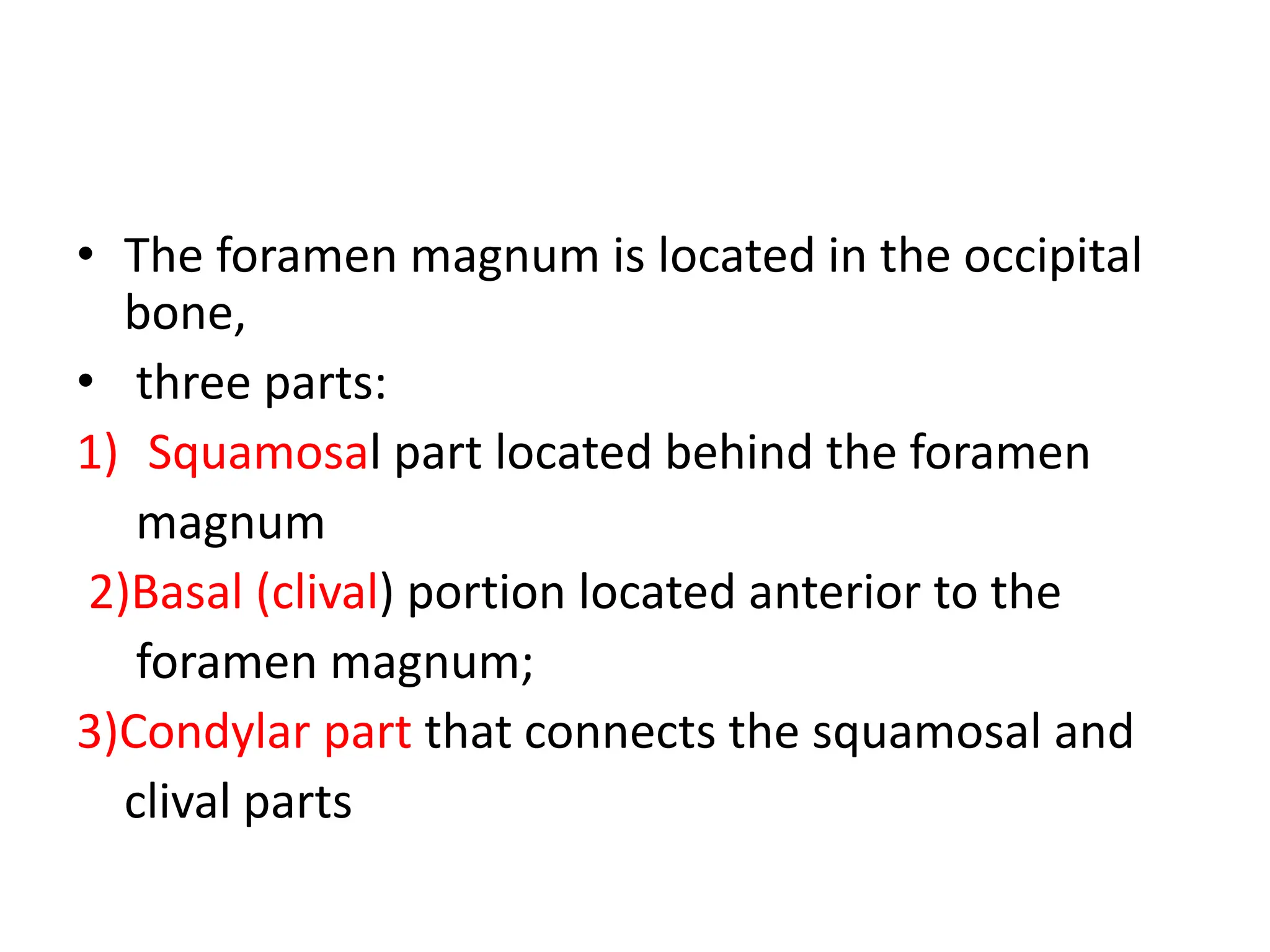 FORAMEN MAGNUM ANATOMY.pptx