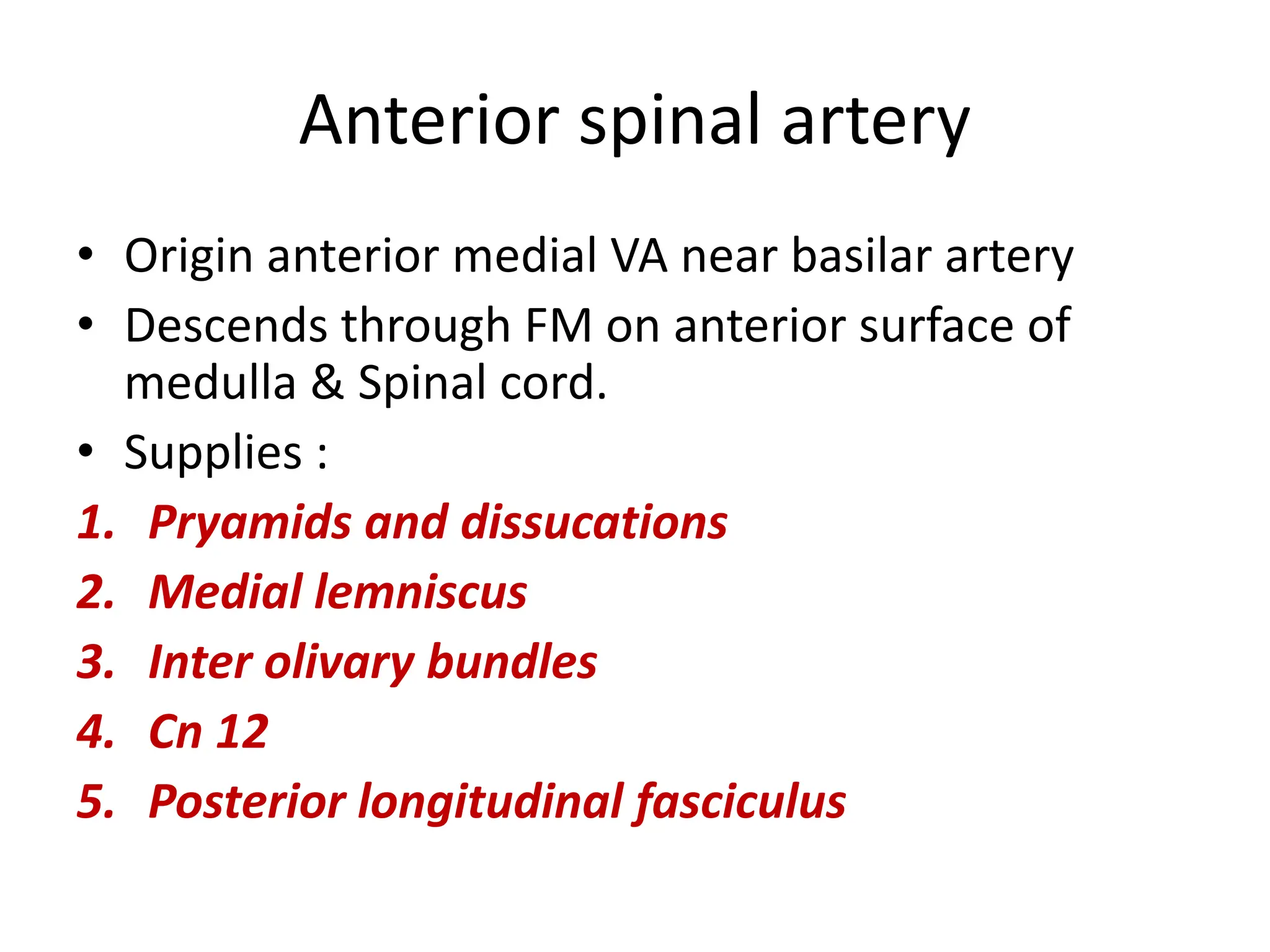 FORAMEN MAGNUM ANATOMY.pptx