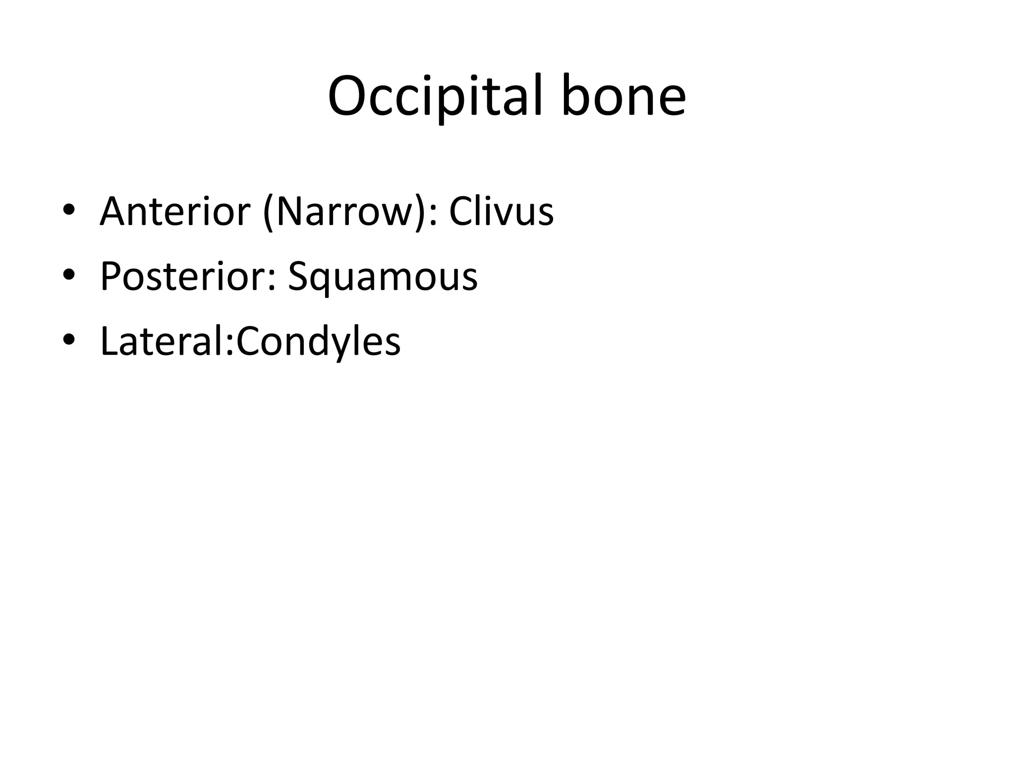 FORAMEN MAGNUM ANATOMY.pptx