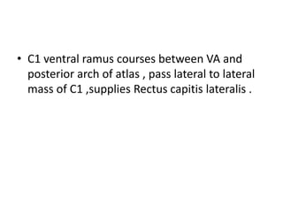 FORAMEN MAGNUM ANATOMY.pptx