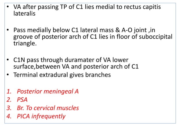 FORAMEN MAGNUM ANATOMY.pptx | Death, Injury, or Military Conflict ...