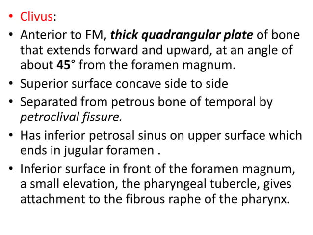 FORAMEN MAGNUM ANATOMY.pptx | Death, Injury, or Military Conflict ...