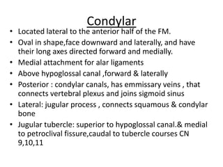 FORAMEN MAGNUM ANATOMY.pptx