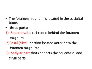 FORAMEN MAGNUM ANATOMY.pptx