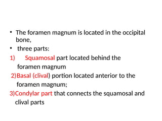 FORAMEN MAGNUM AND ITS SURROUNDING STRUCTURES.pptx