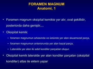 Foramen Magnum Cerrahisi | PPT