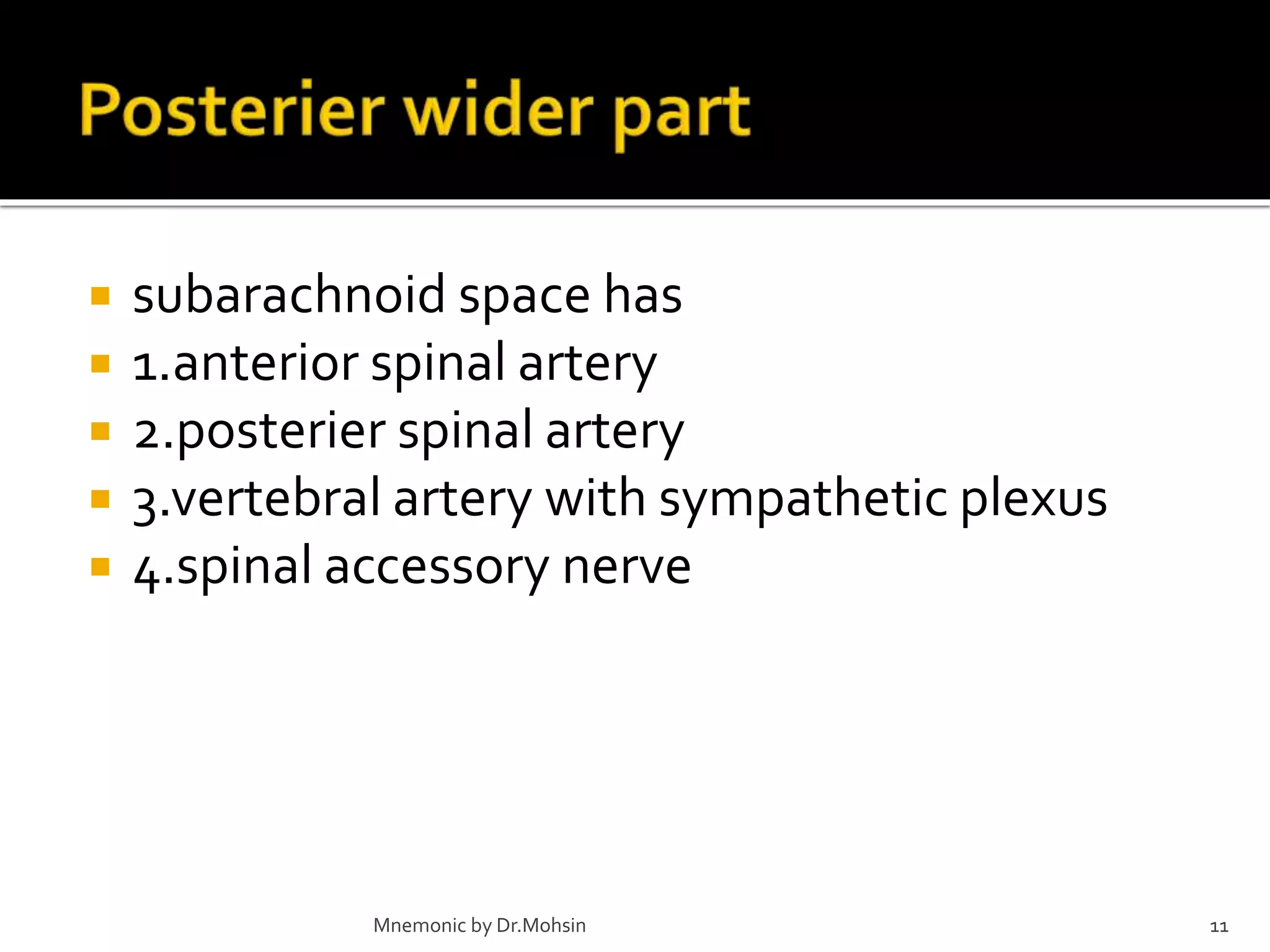 Foramen magnum mnemonic | PPTX