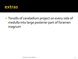 Foramen magnum mnemonic | PPTX