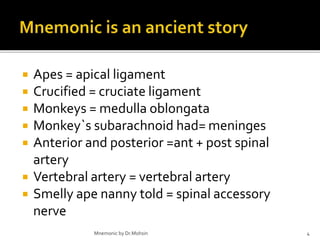 Foramen magnum mnemonic | PPTX