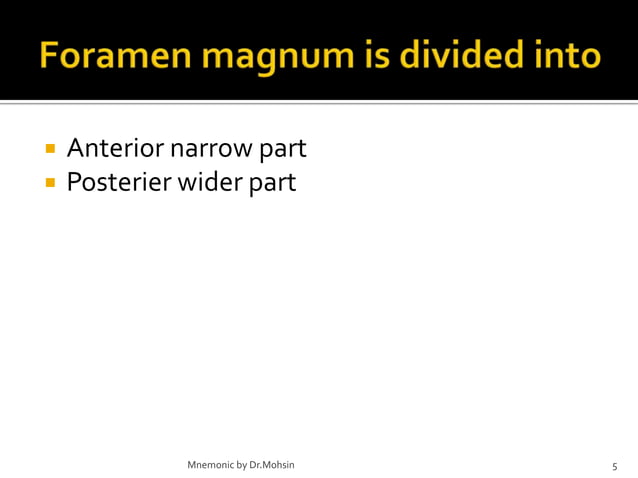 Foramen magnum mnemonic | PPT