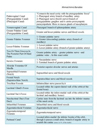 Foramina of the Skull and the Structures that Pass Through | PDF