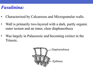 Foraminifera , micro fossil | PPTX