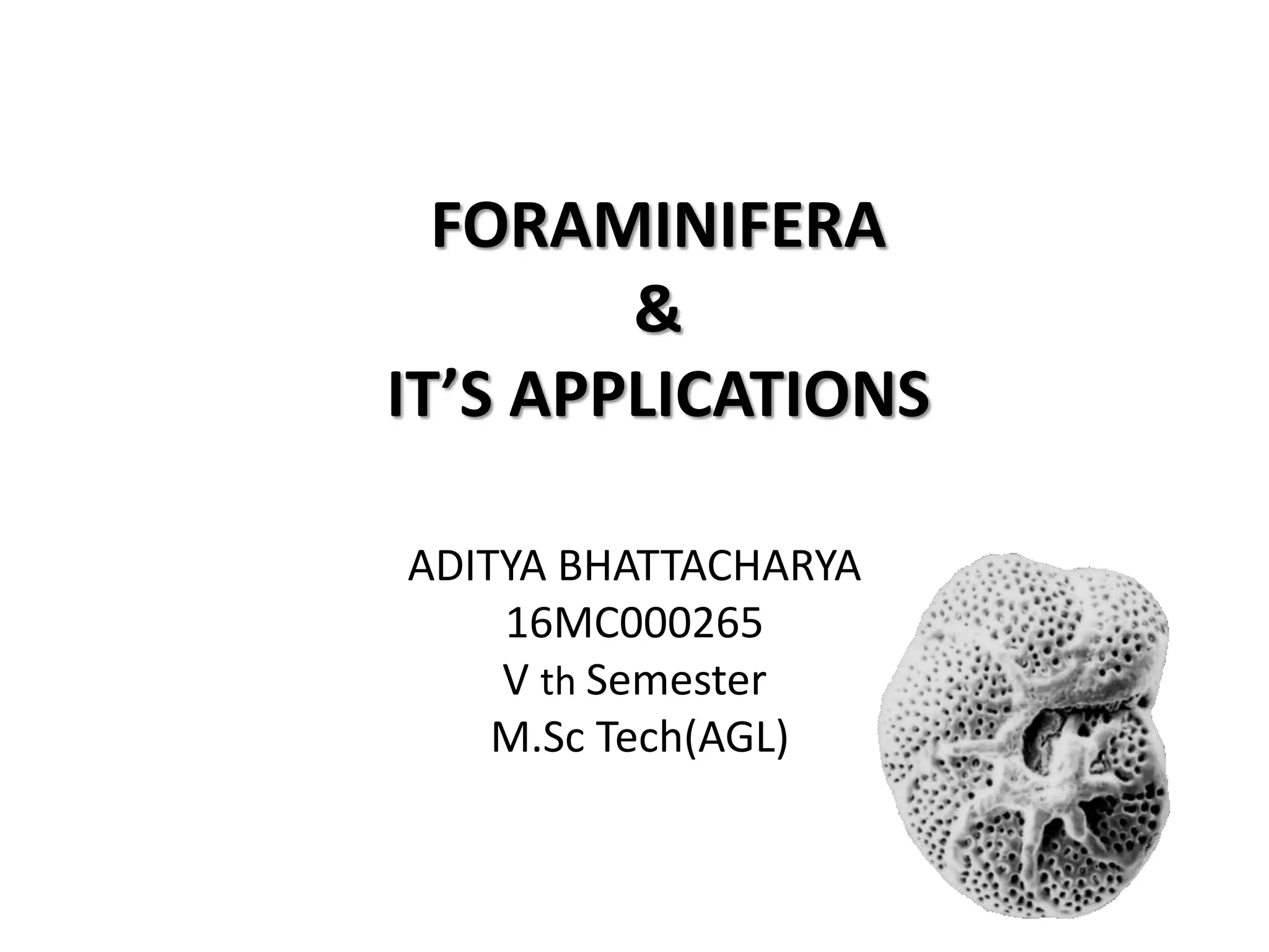 Foraminifera (Foram) and It's Application.pptx