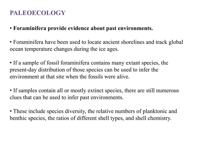 Foraminifera (Foram) and It's Application.pptx