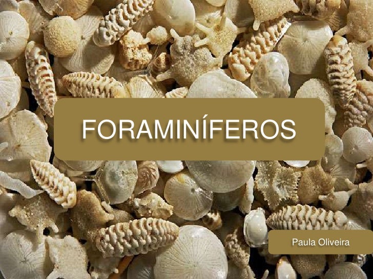 Foraminíferos