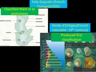 foraminifera micro-paleontology micro fossil | PDF