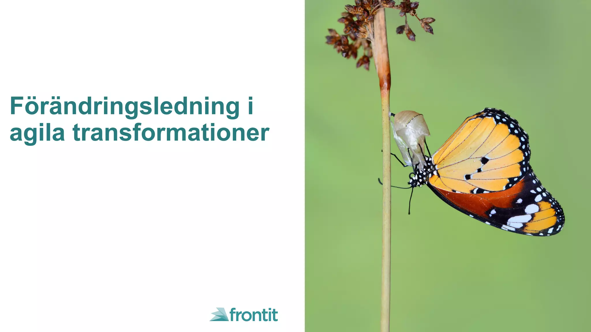 Förändringsledning i agila transformationer.pdf | Free Download