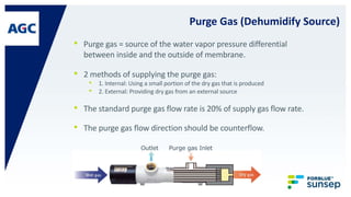 FORBLUE sunsep™ Membranes for Gas Drying and Humidification | PDF