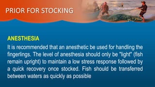 Fish nurseries | PPTX