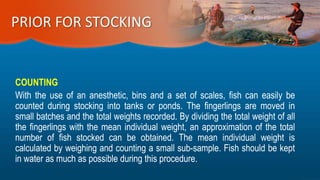 Fish nurseries | PPTX