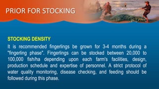 Fish nurseries | PPTX