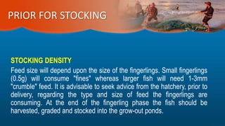 Fish nurseries | PPTX