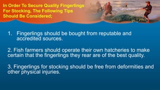 Fish nurseries | PPTX