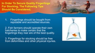 Fish nurseries | PPTX