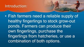 Fish nurseries | PPTX