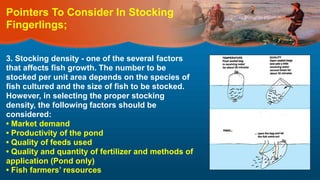 Fish nurseries | PPTX