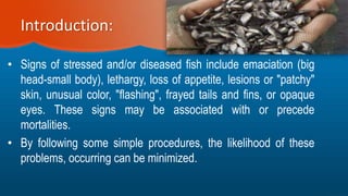 Fish nurseries | PPTX