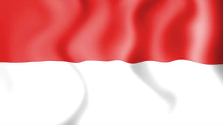 FORCA LEVEL BASIC.pptx