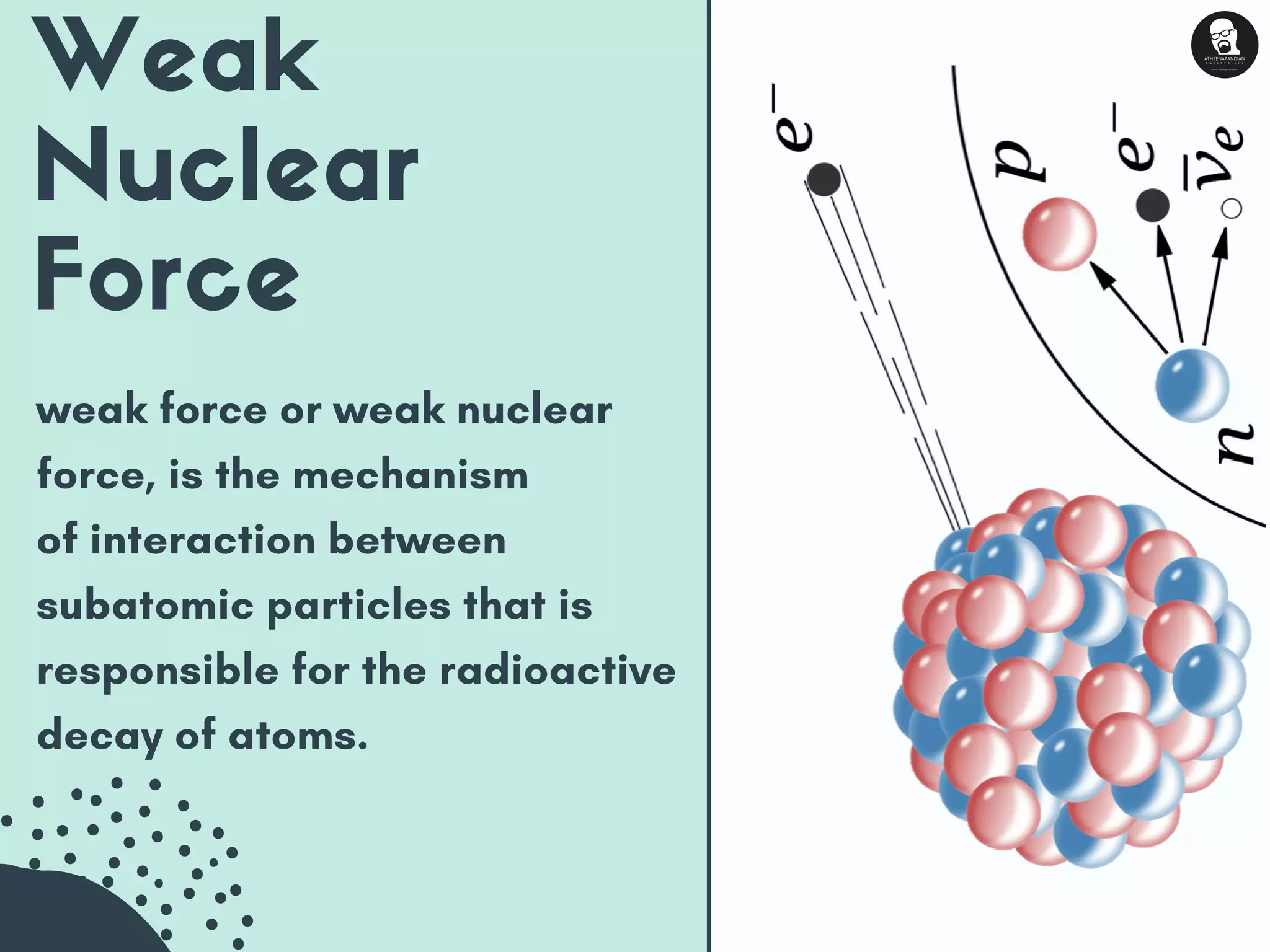 Force - Biomechanics | PDF