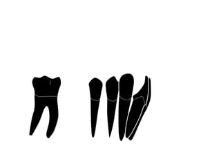 Force and vector in orthodontic | PPTX